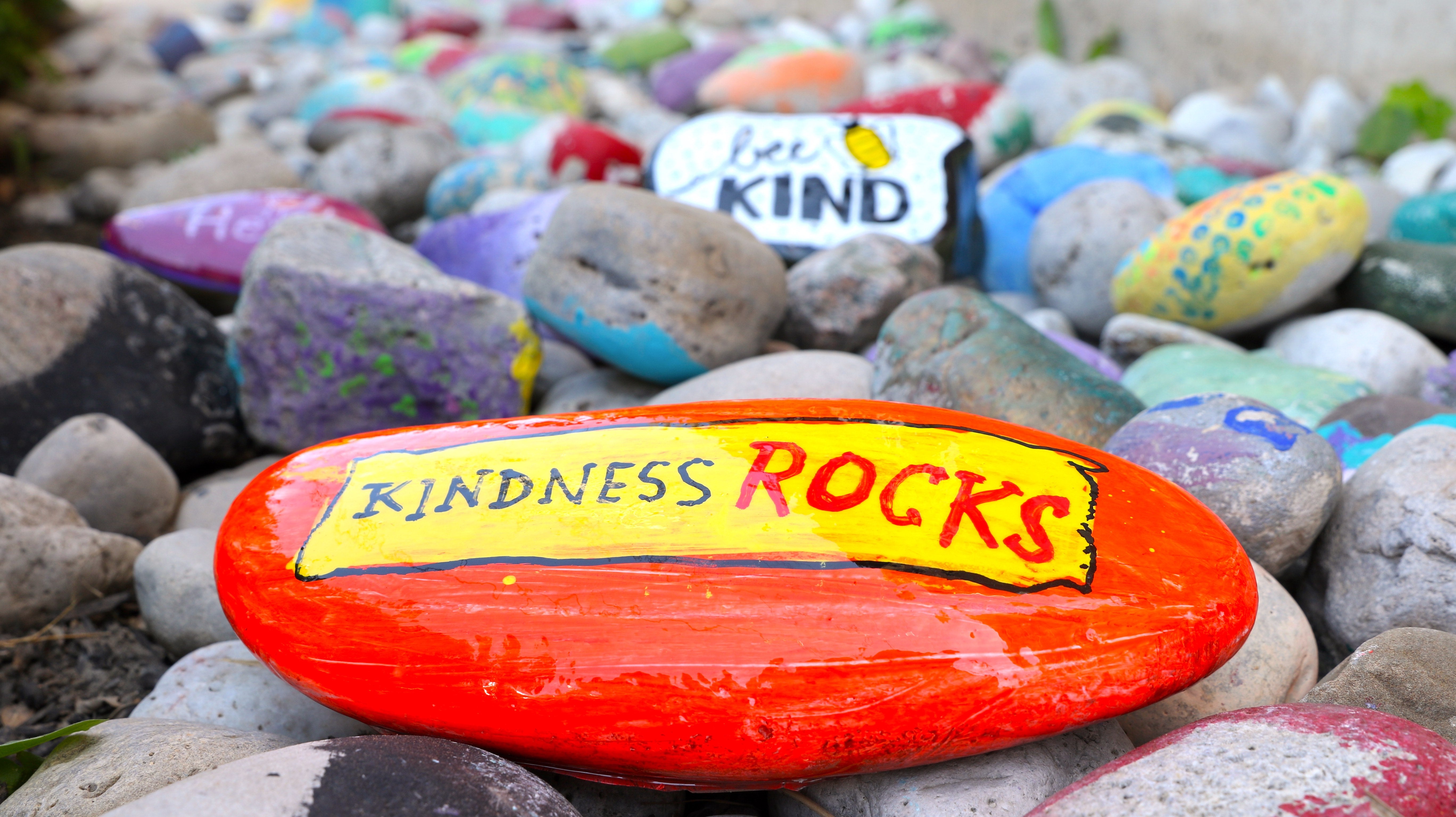 Kindness Rocks – ArtResin