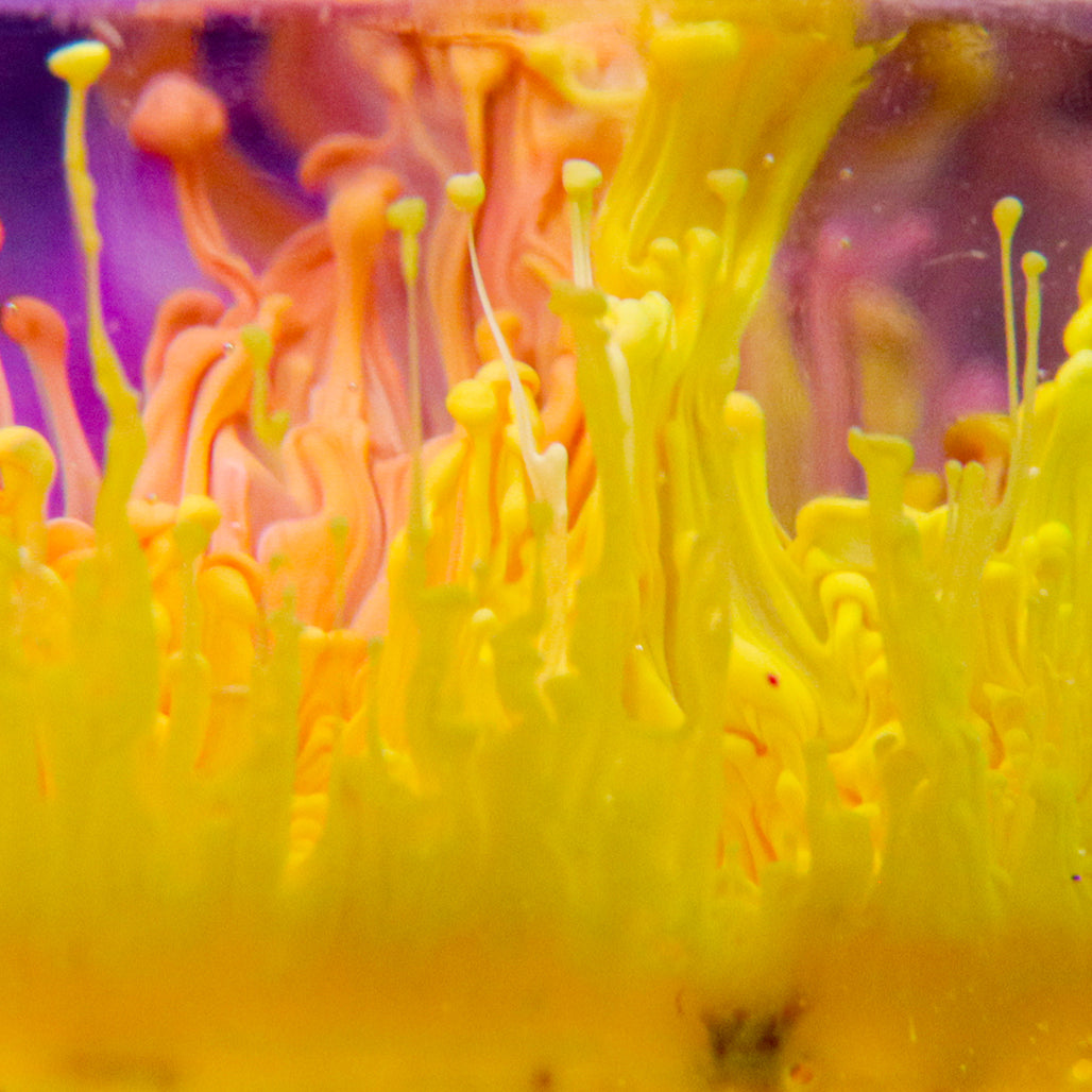 White Alcohol Ink Sinker: Shop Our Alcohol Ink Sinker – ArtResin